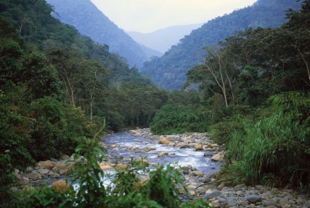 Getting to Cocha Cashu | Cocha Cashu Biological Station