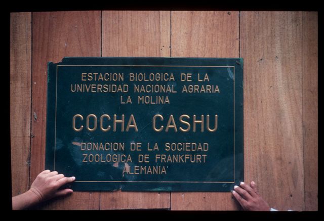 La Fundación de Cocha Cashu | Estación Biológica Cocha Cashu