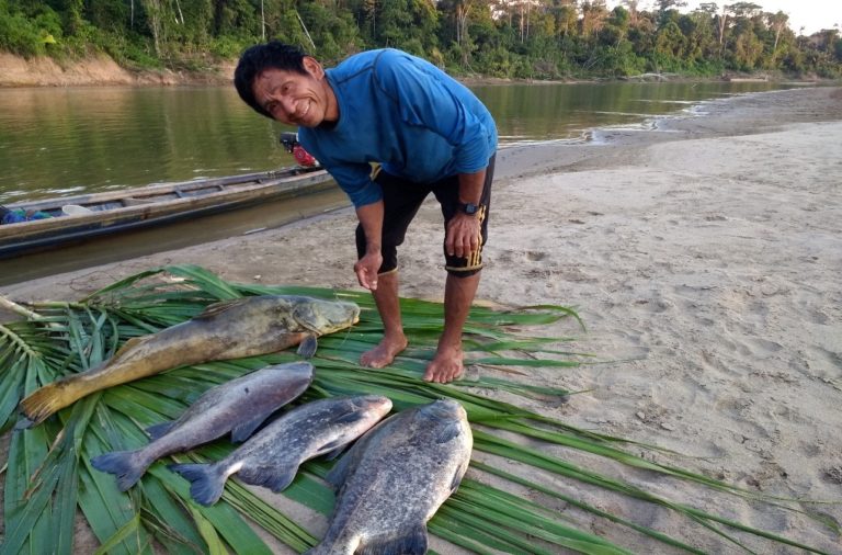 Matsigenka Knowledge of Manu Fish | Cocha Cashu Biological Station