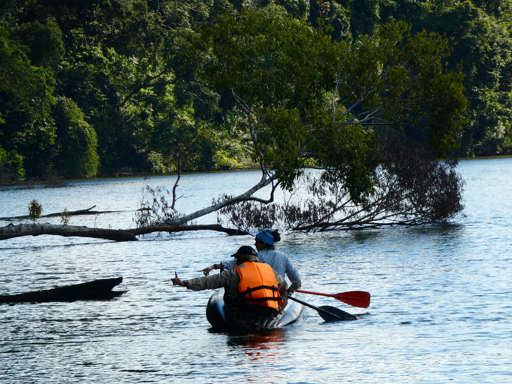 What’s New | Cocha Cashu Biological Station